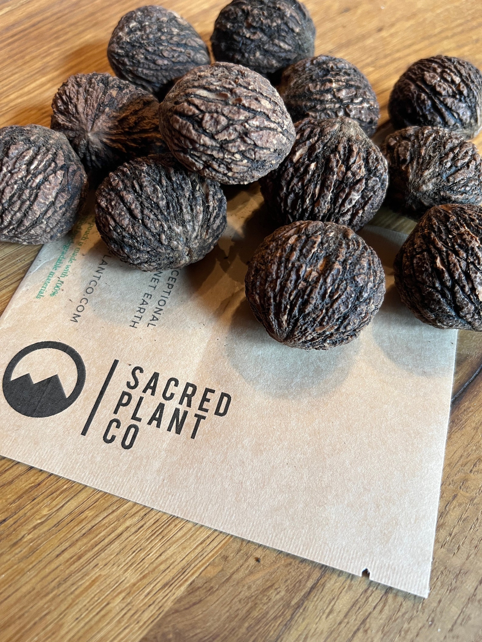 Black Walnut Tree Seeds | Walnut Tree Seeds | Northern Black Walnut ...