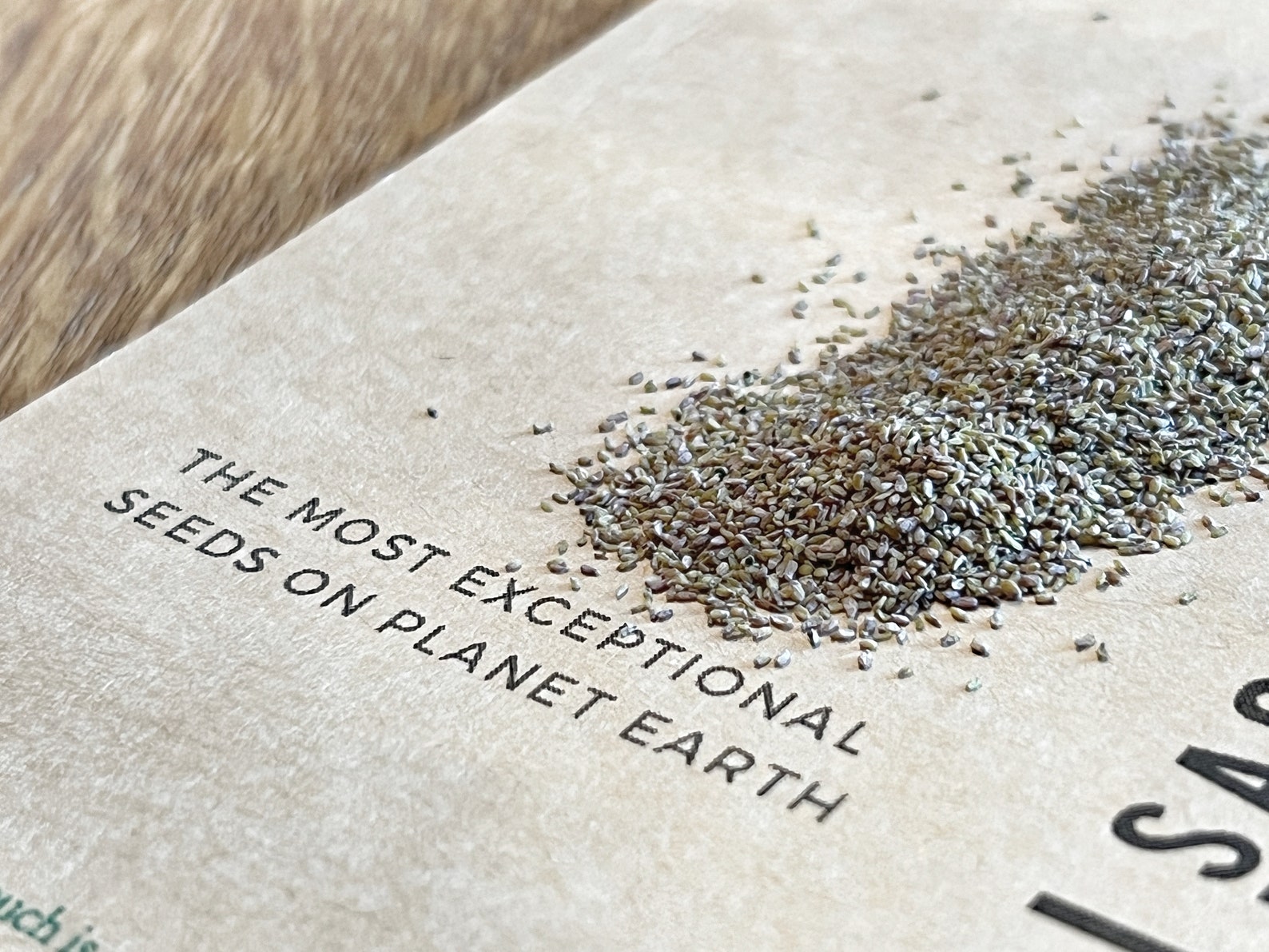 Quaking Aspen Tree Seeds Aspen Tree Seeds Aspen Trees - Etsy