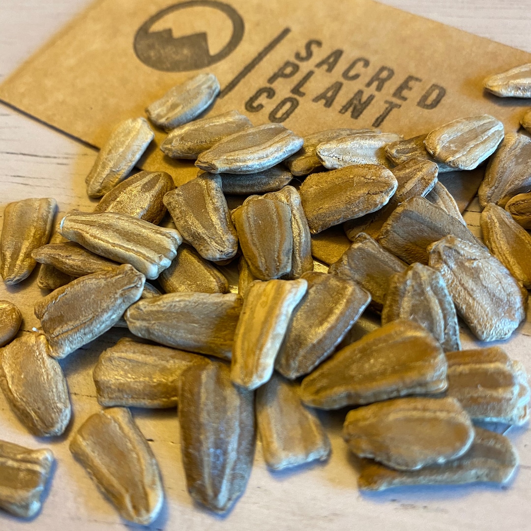 Dipper Gourd Seeds | Dipper Gourd Heirloom Seeds | Lagenaria Siceraria ...