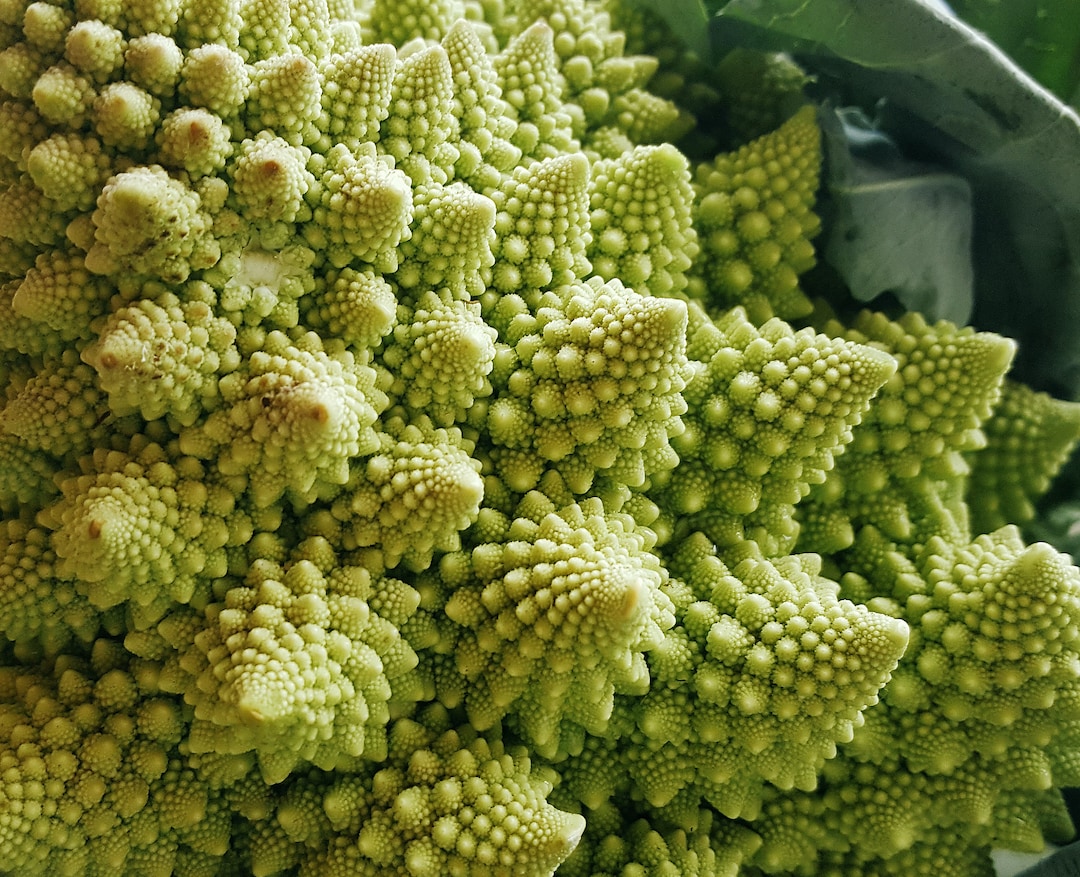 Romanesco Broccoli Seeds | Broccoli Romanesco Seeds | Heirloom Broccoli ...