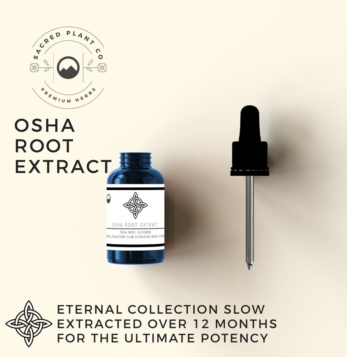 Osha Root Extract | Whole Osha Root Tincture | Bear Root Extract ...
