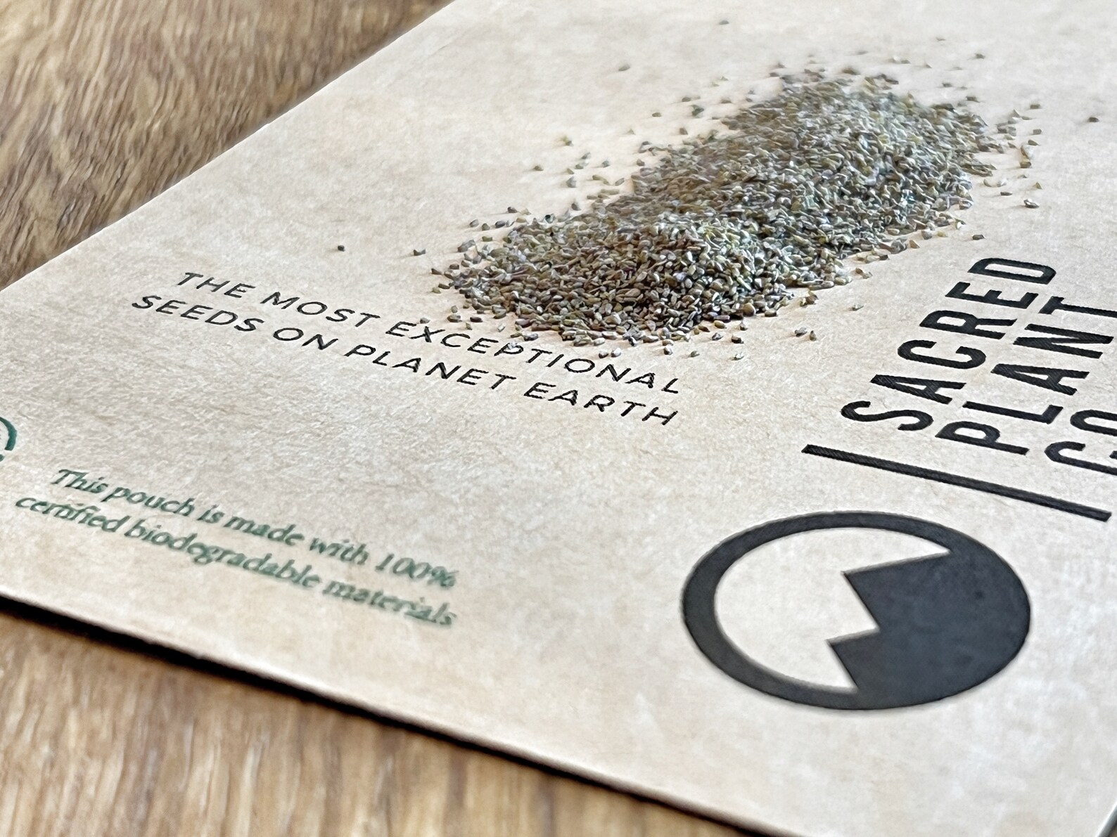 Quaking Aspen Tree Seeds Aspen Tree Seeds Aspen Trees - Etsy