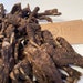 Osha Root Whole Osha Root Bear Root Chuchupate Root Colorado Cough Root ...