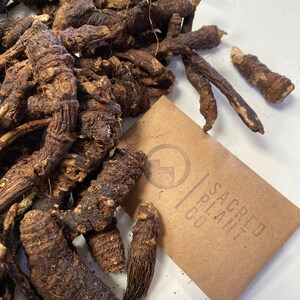Osha Root Whole Osha Root Bear Root Chuchupate Root Colorado Cough Root ...