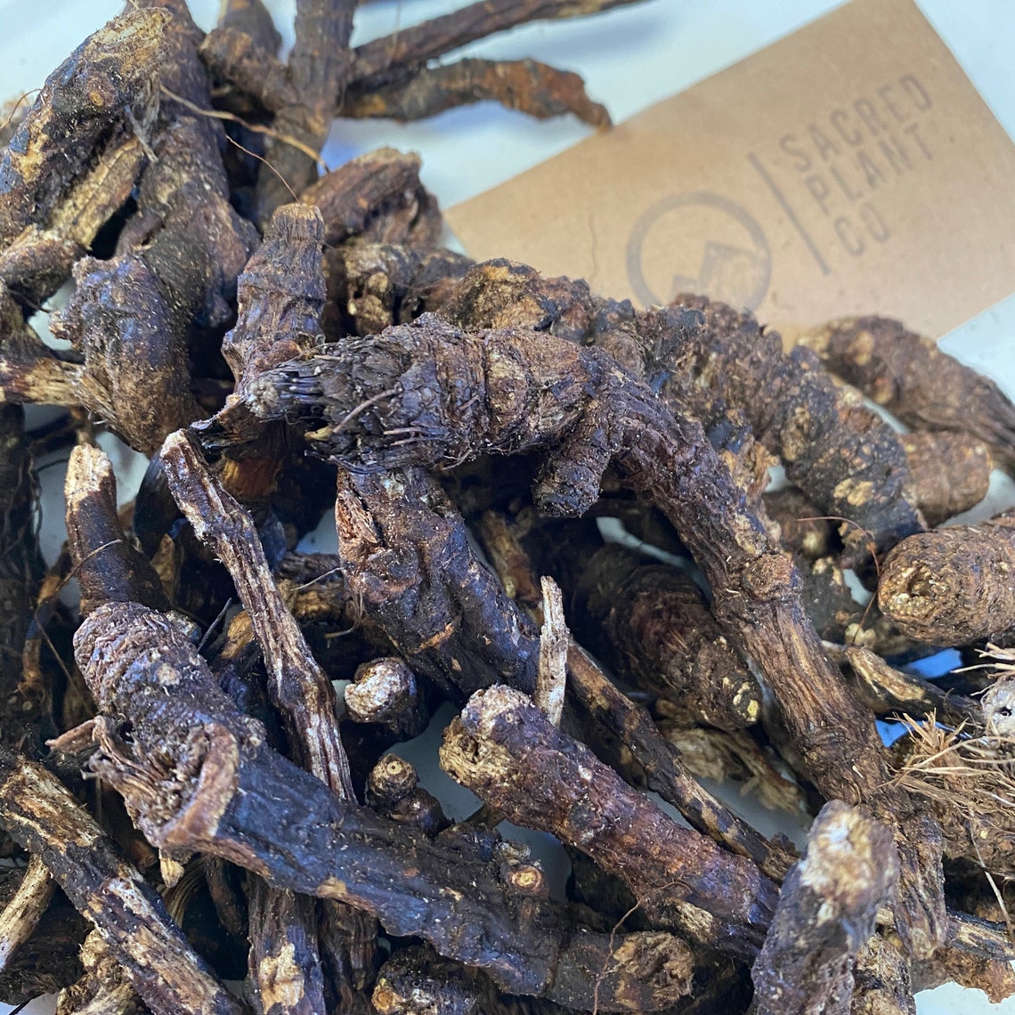 Osha Root Whole Osha Root Bear Root Chuchupate Root | Etsy