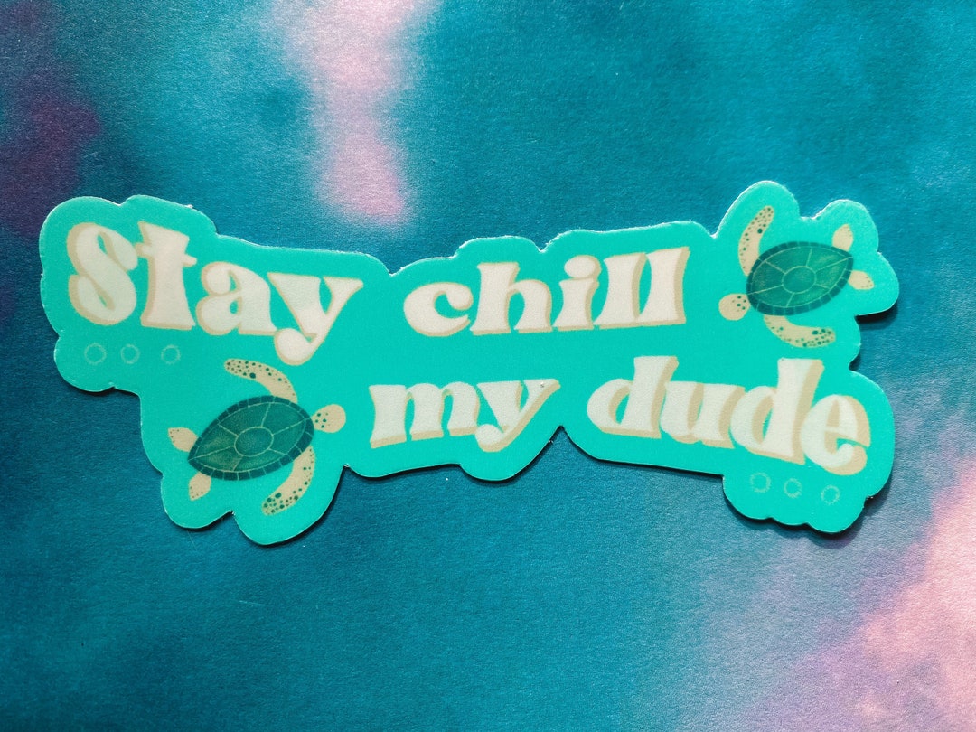 Sea Turtle Sticker Stay Chill Dude Sticker Aesthetic Vsco - Etsy