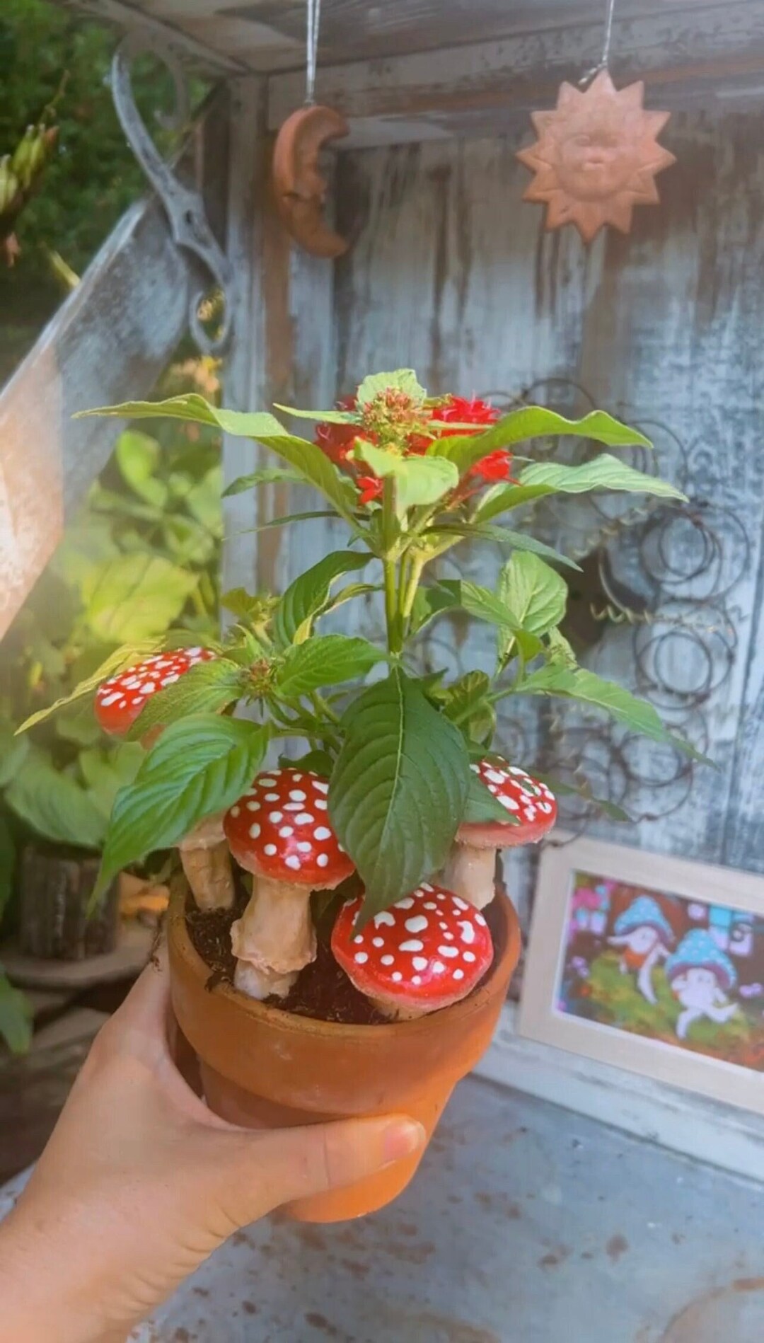 Toadstool Fairy Garden Mushrooms - Etsy