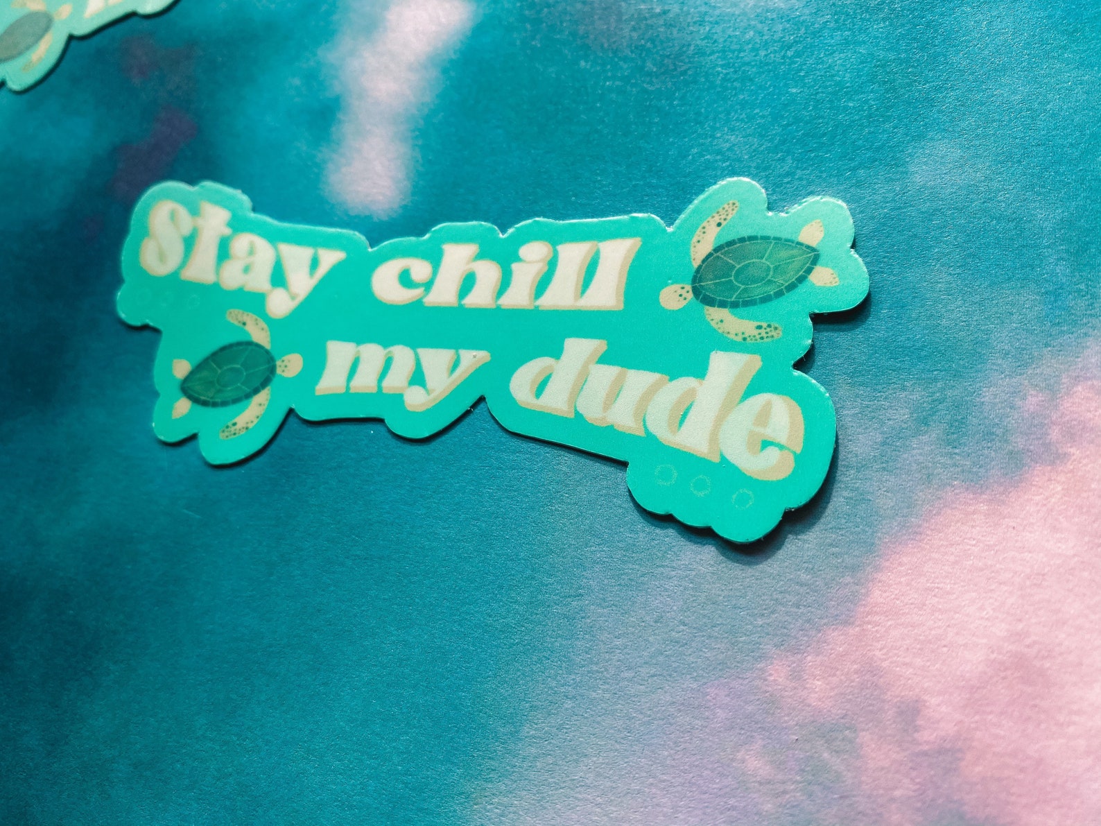 Sea Turtle Sticker Stay Chill Dude Sticker Aesthetic Vsco | Etsy