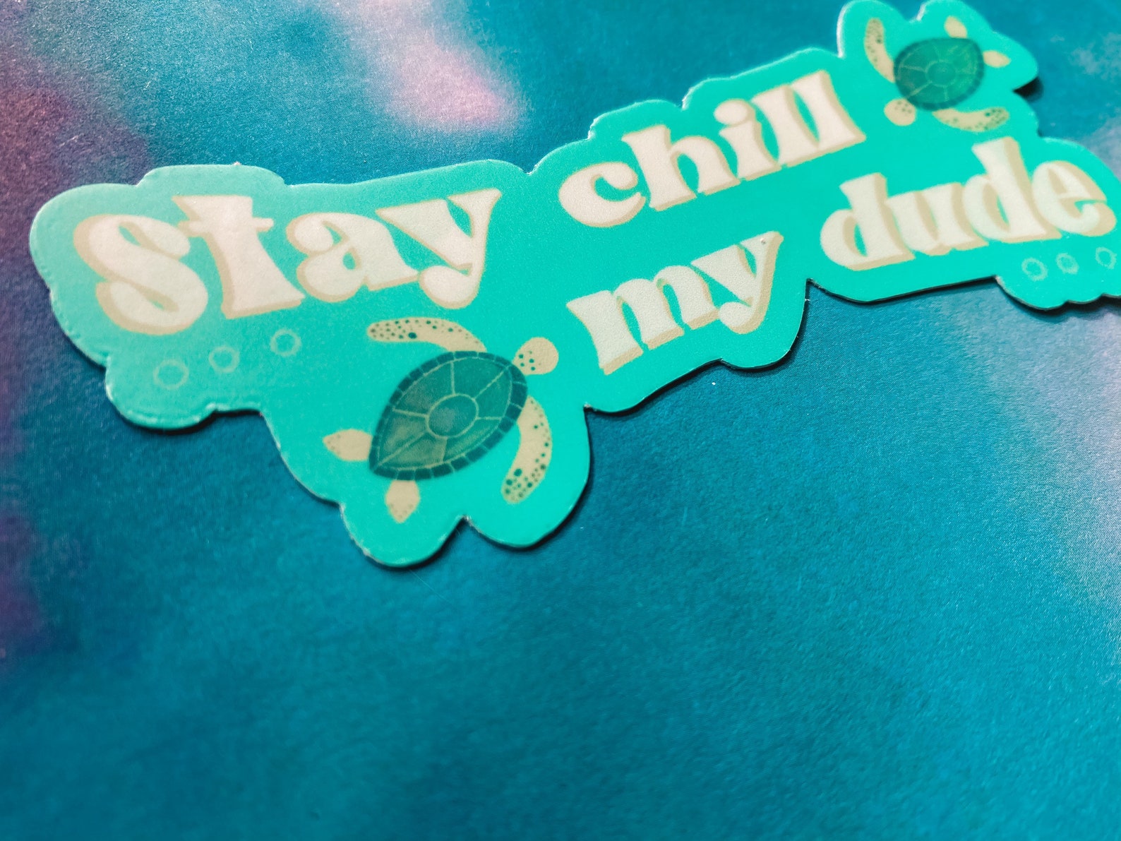 Sea turtle sticker stay chill dude sticker aesthetic vsco | Etsy