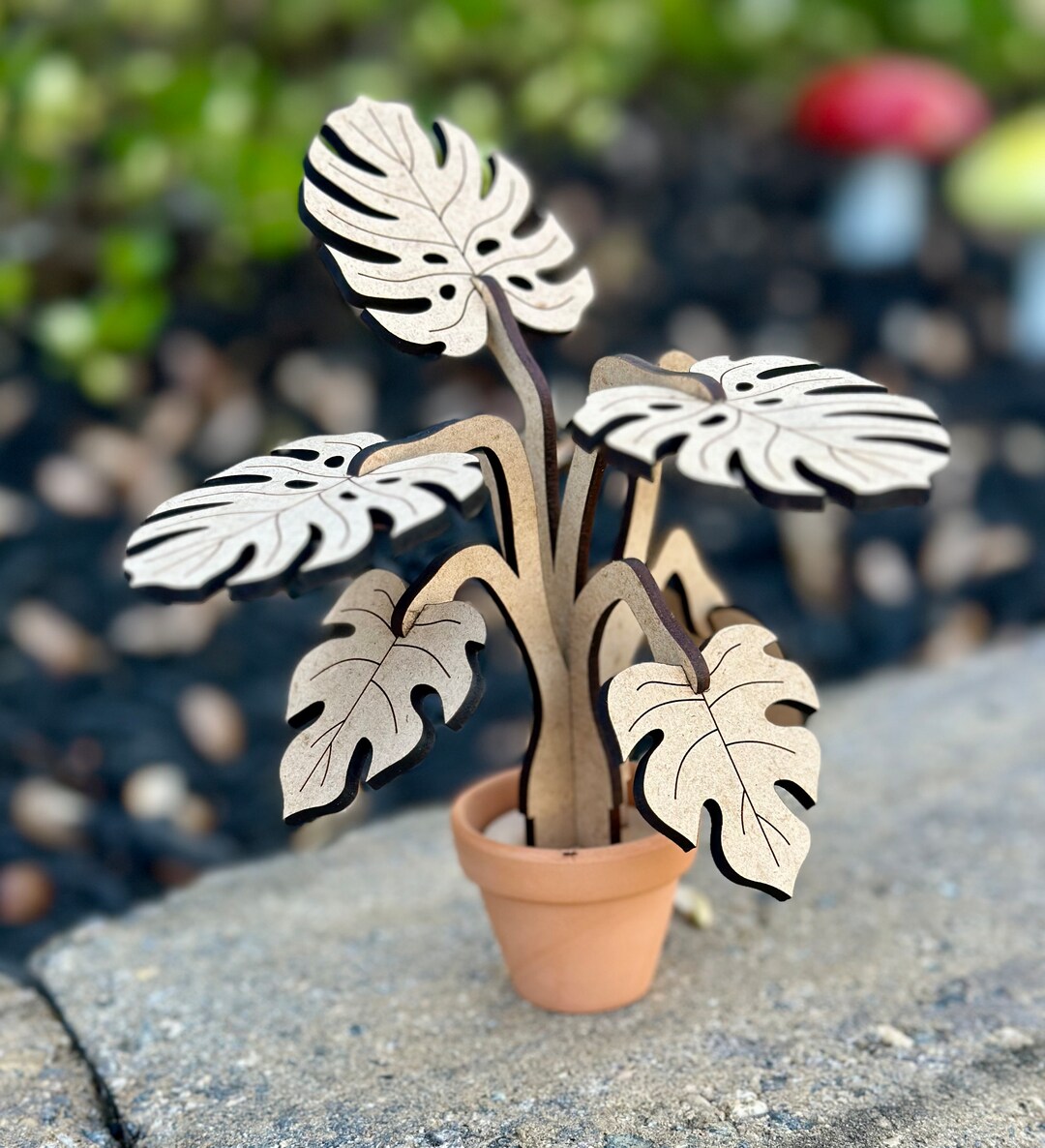 Monstera Plant Diy Kit - Etsy