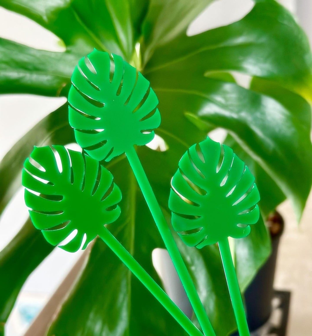 Monstera Leaf Stir Sticks for Cocktails or Tropical Party Decor, Palm ...