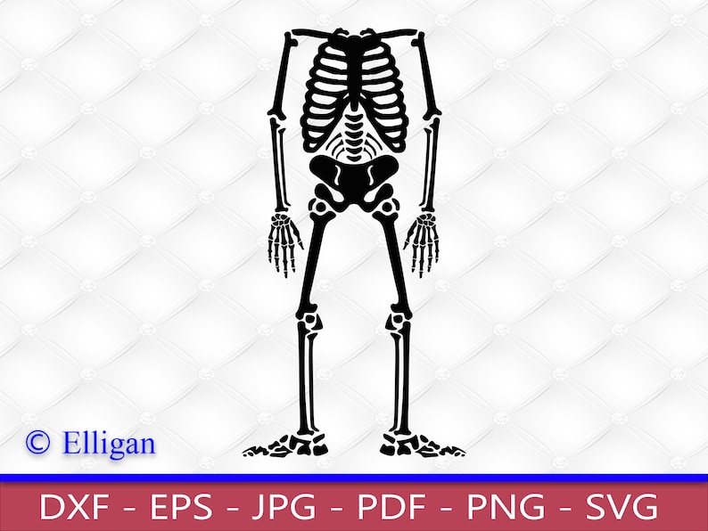 Headless Skeleton SVG PNG - Etsy UK