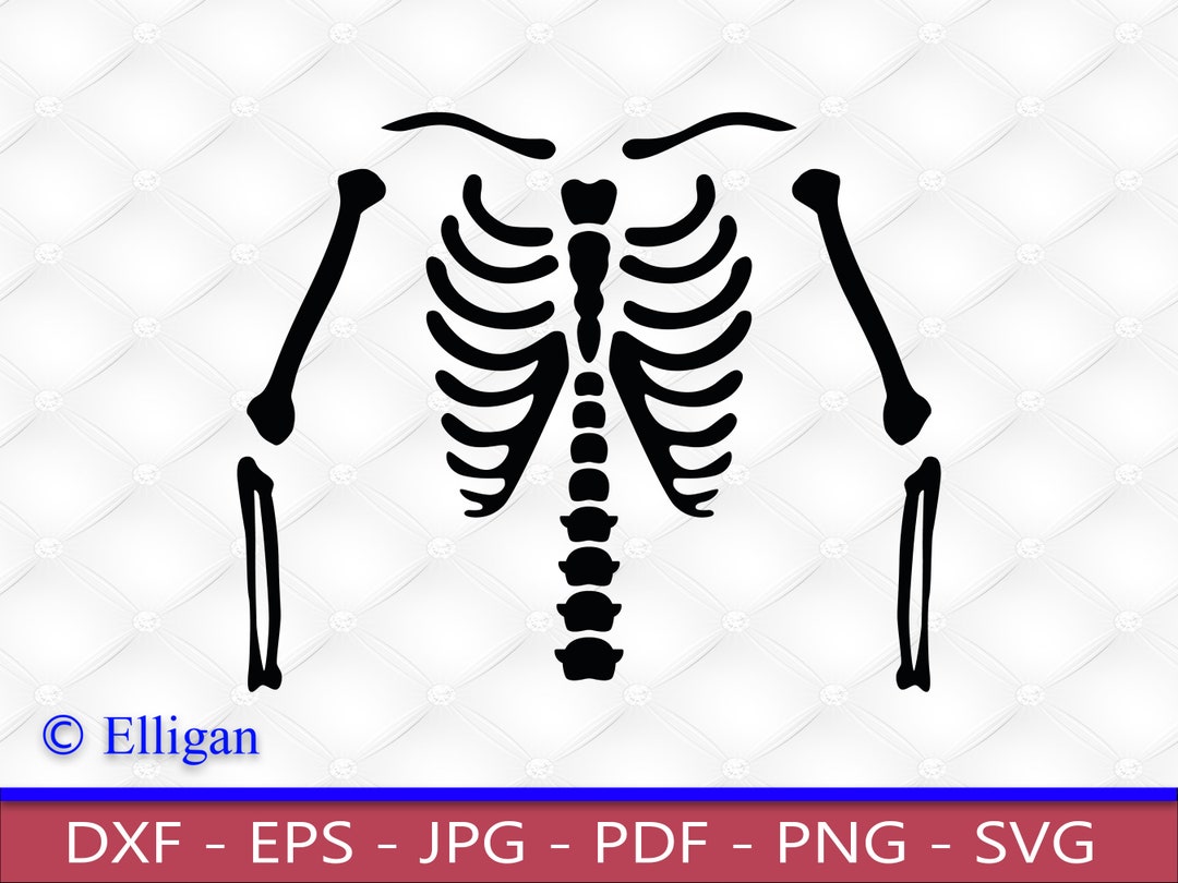 Skeleton Torso, SVG, PNG - Etsy Australia
