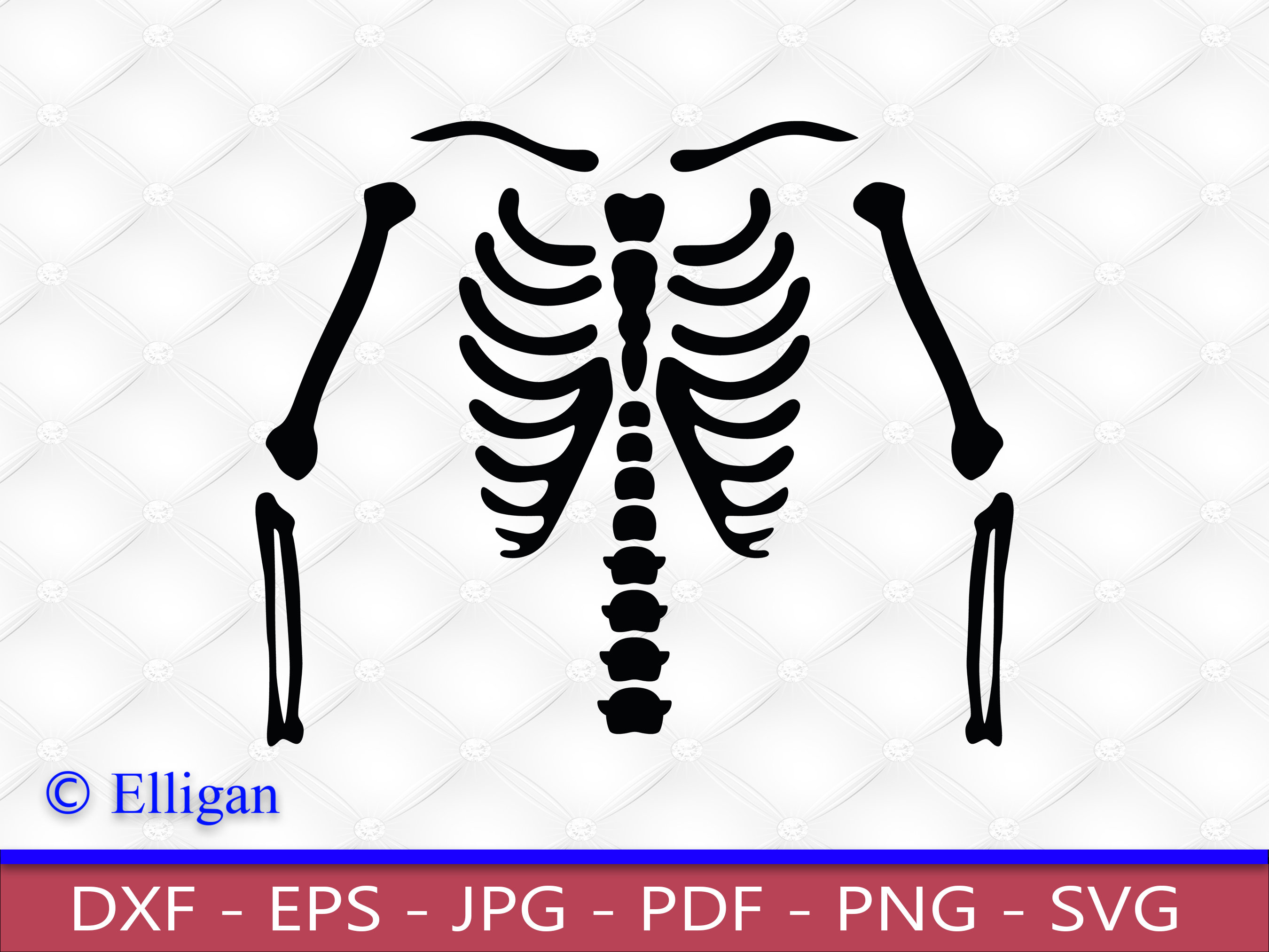 Skeleton Torso, SVG, PNG - Etsy