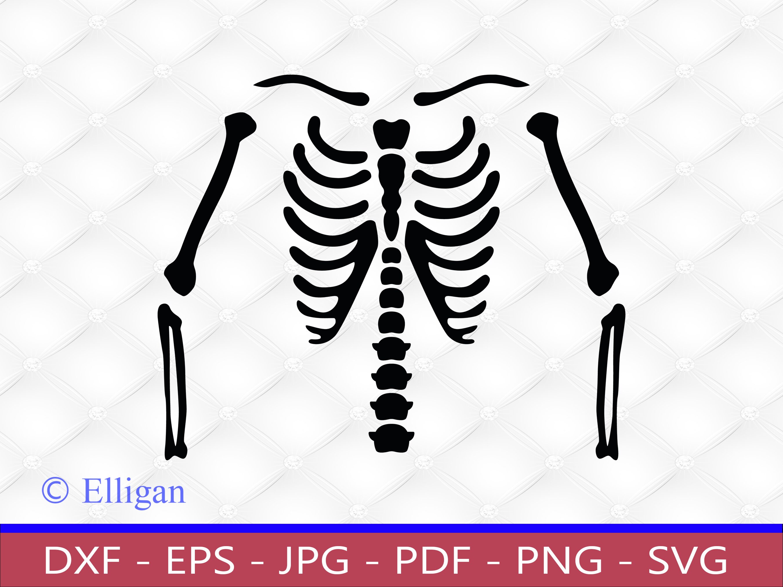 Skeleton Torso SVG PNG | Etsy