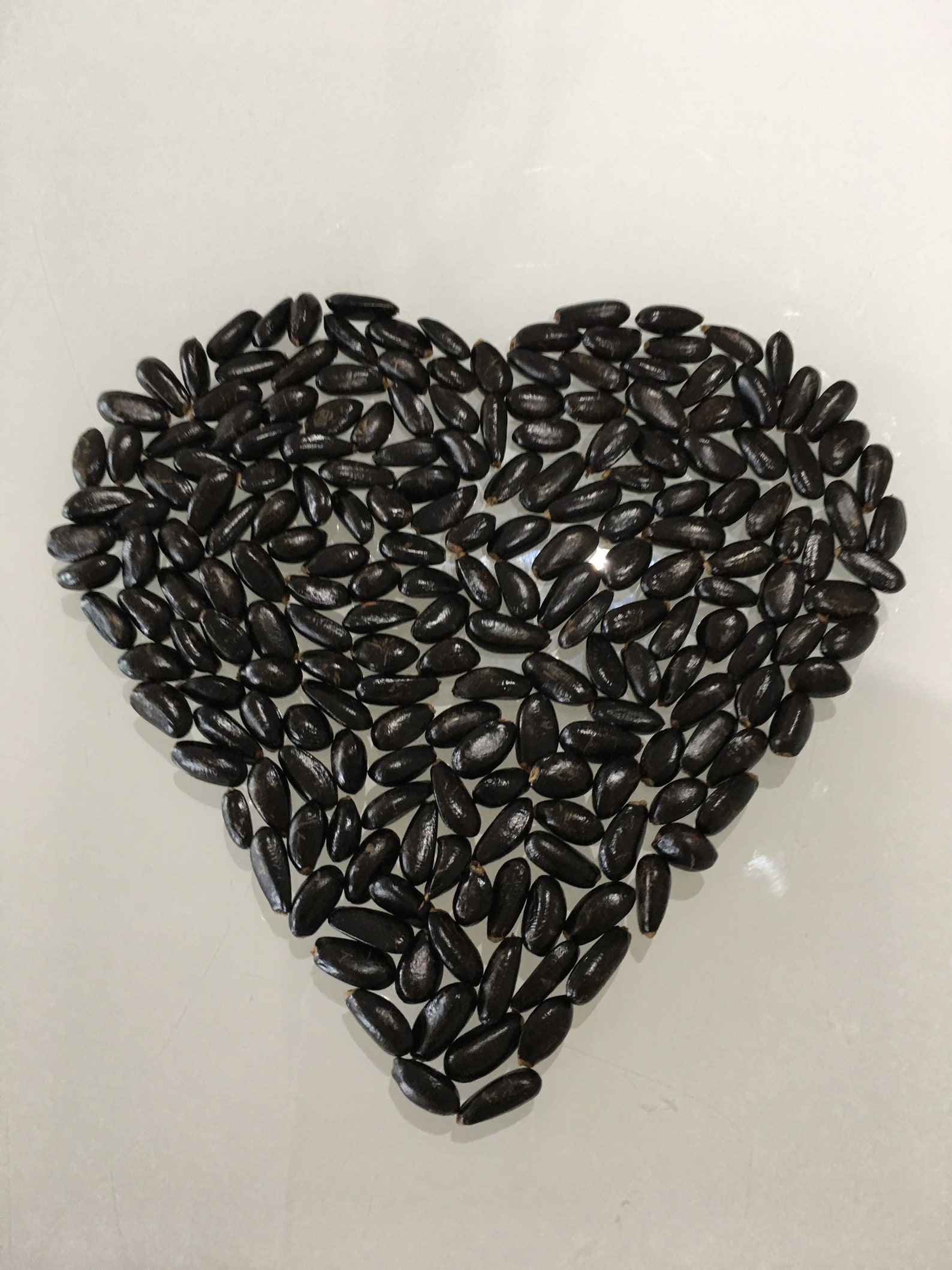 Annona Squamosa purple Purple Sugar Apple Seeds Red Anon - Etsy