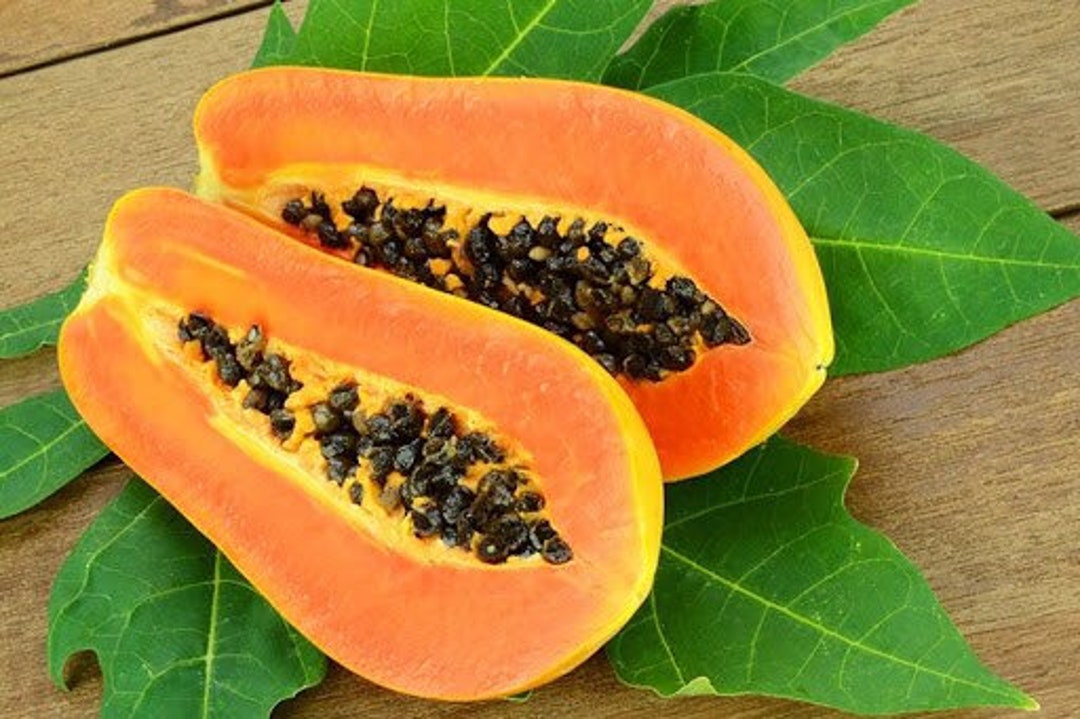 Papaya Roja Caribeña Fruta Tropical Orgánica 150 Semillas Vendedor de ...