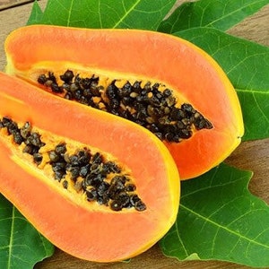Caribbean Red Papaya Tropical Fruit Organic 150 Seeds USA Seller. - Etsy