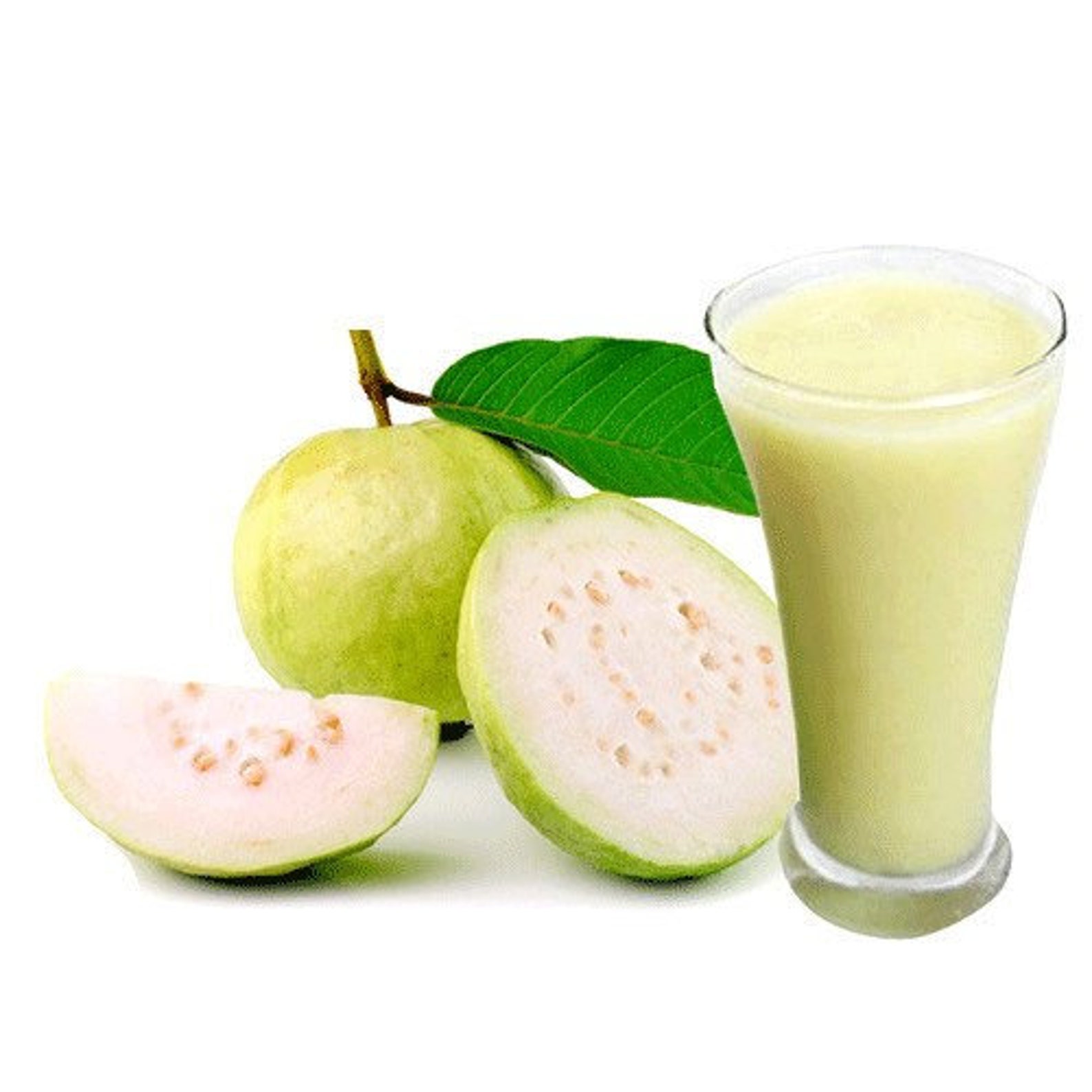 Giant White Guava Seeds 100 Seeds Organic USA SELLER - Etsy