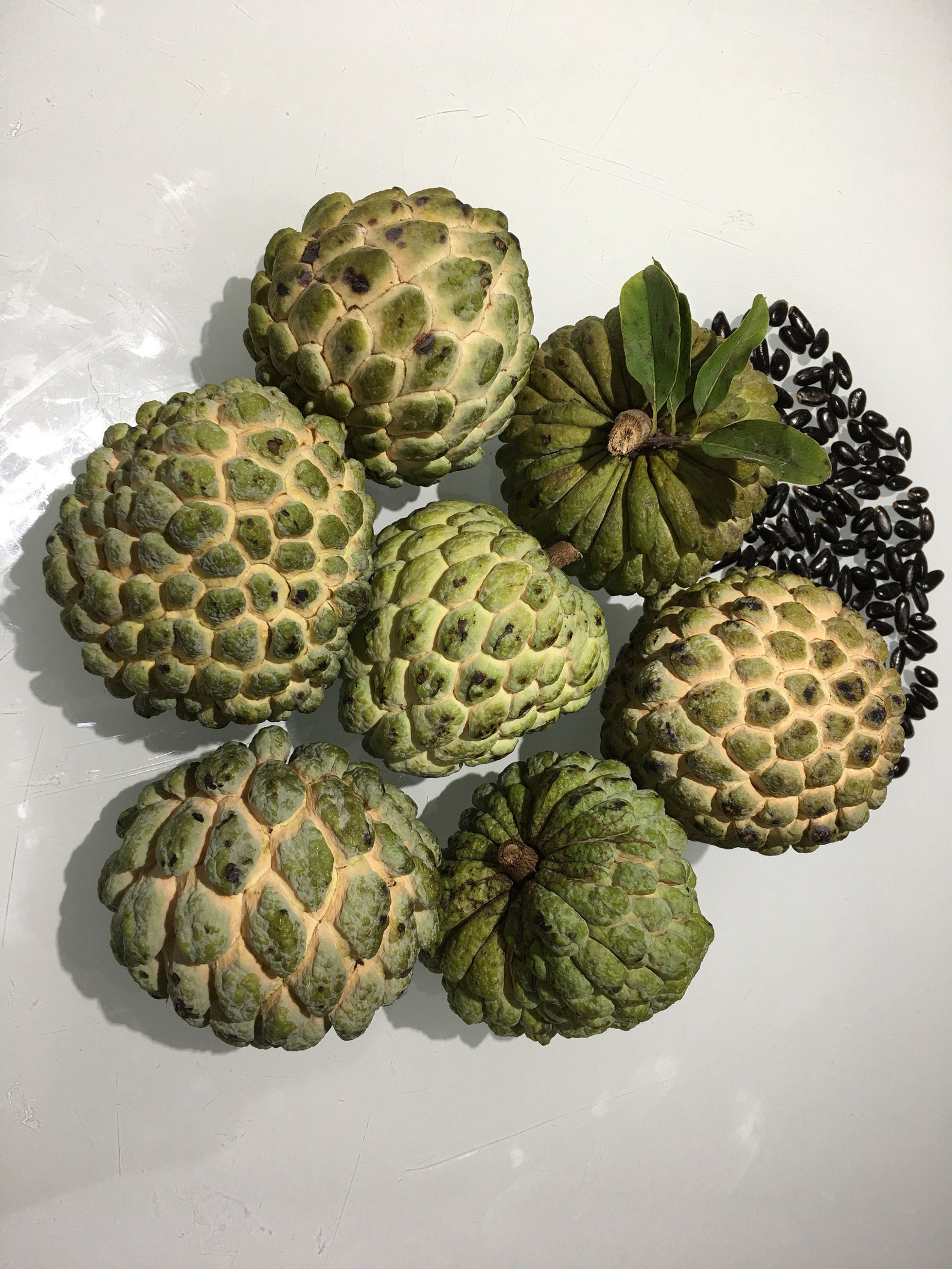 Annona Squamosa Anon Sugar Apple Seeds. - Etsy