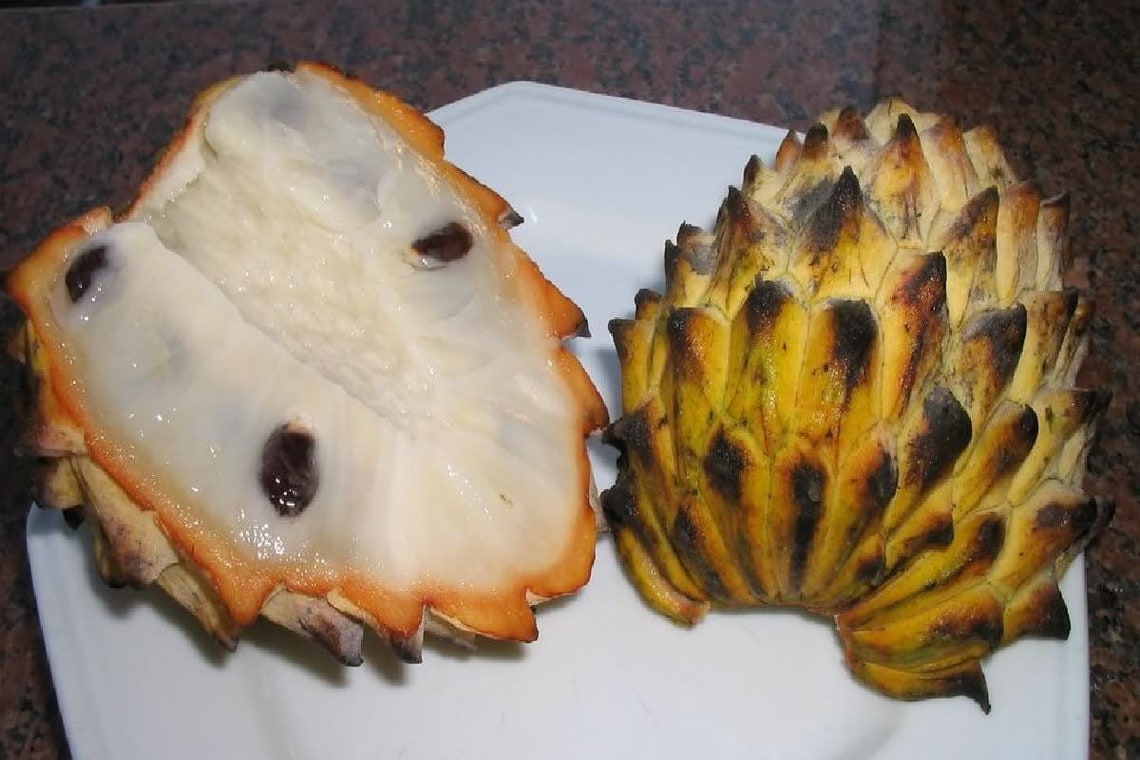 5 Rollinia Deliciosa Seeds Biriba Rollinia Mucosa Rare Tropical Fruit ...