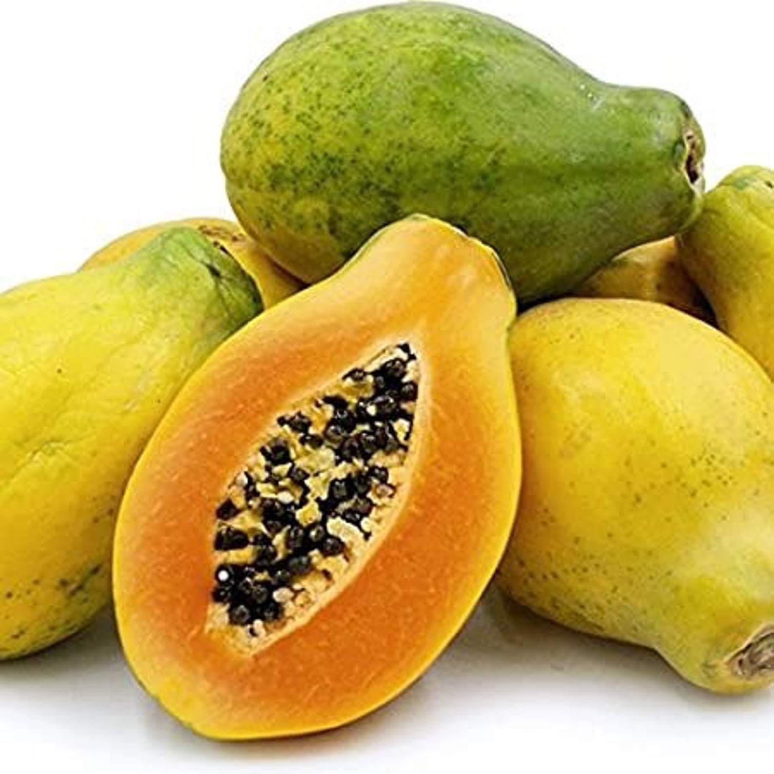 Golden Dwarf Papaya 100 Seeds From Brasil. - Etsy