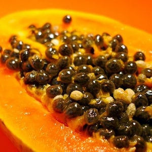 Caribbean Red Papaya Tropical Fruit Organic 150 Seeds USA Seller. - Etsy