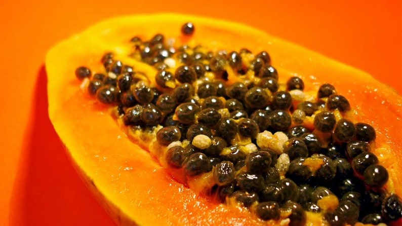 Caribbean Red Papaya Tropical Fruit Organic 150 Seeds USA Seller. - Etsy