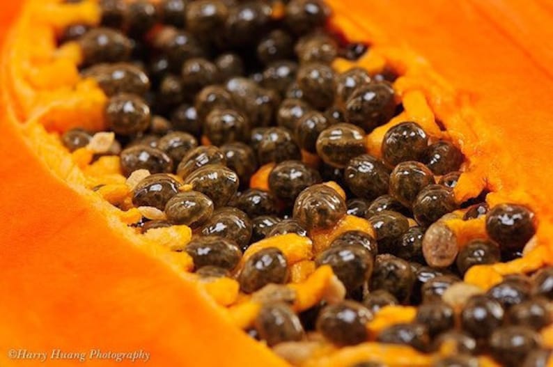 Caribbean Red Papaya Tropical Fruit Organic 300 Seeds USA | Etsy
