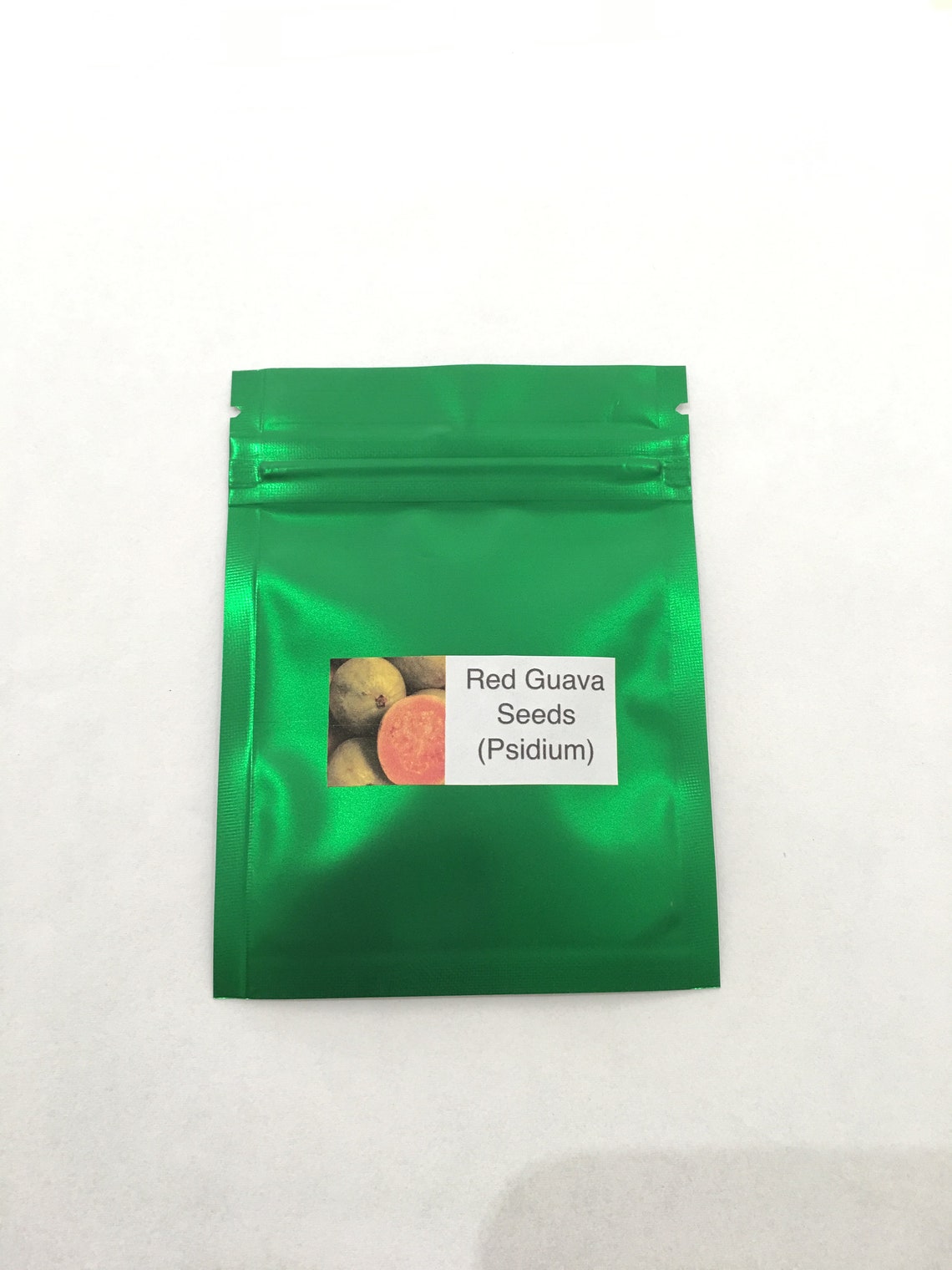 Red Guava Psidium Guajava Guayaba 150 Seeds Organic - Etsy