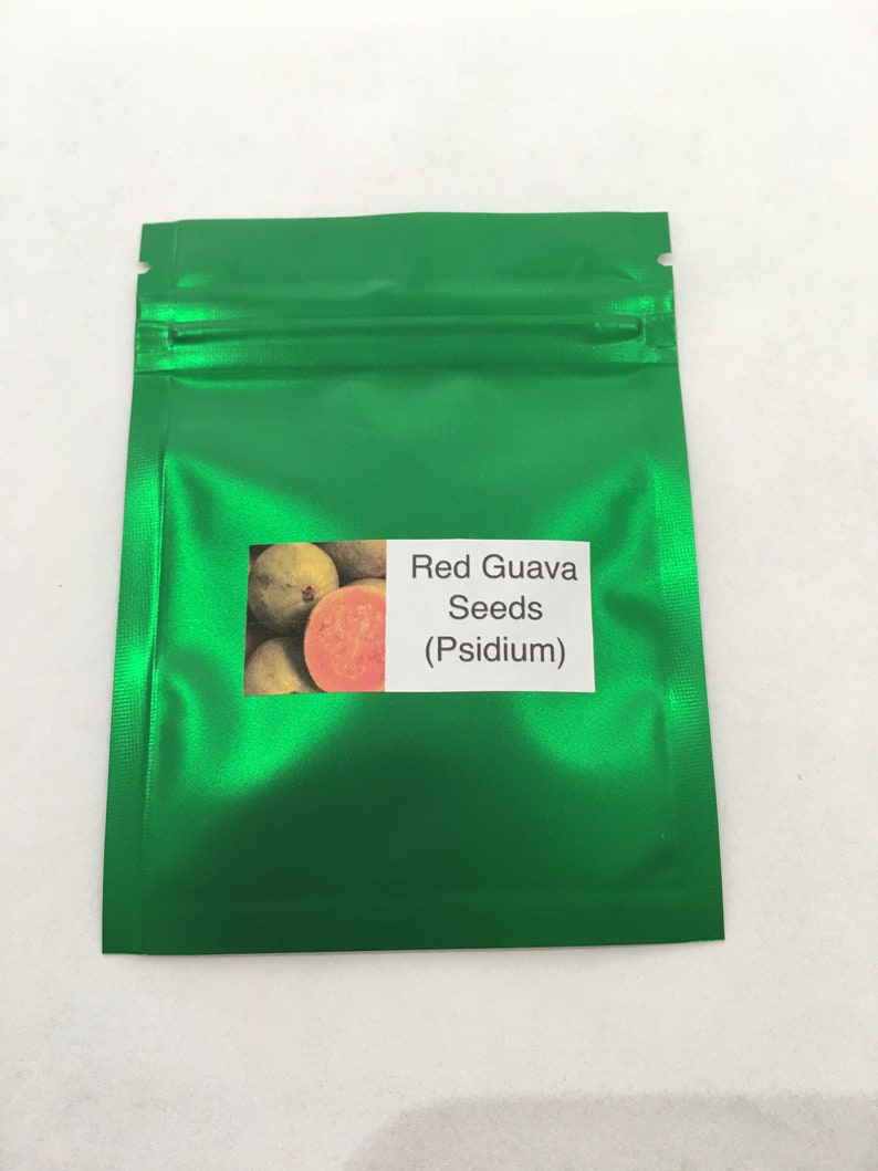 Red Guava Psidium Guajava Guayaba 150 Seeds Organic - Etsy