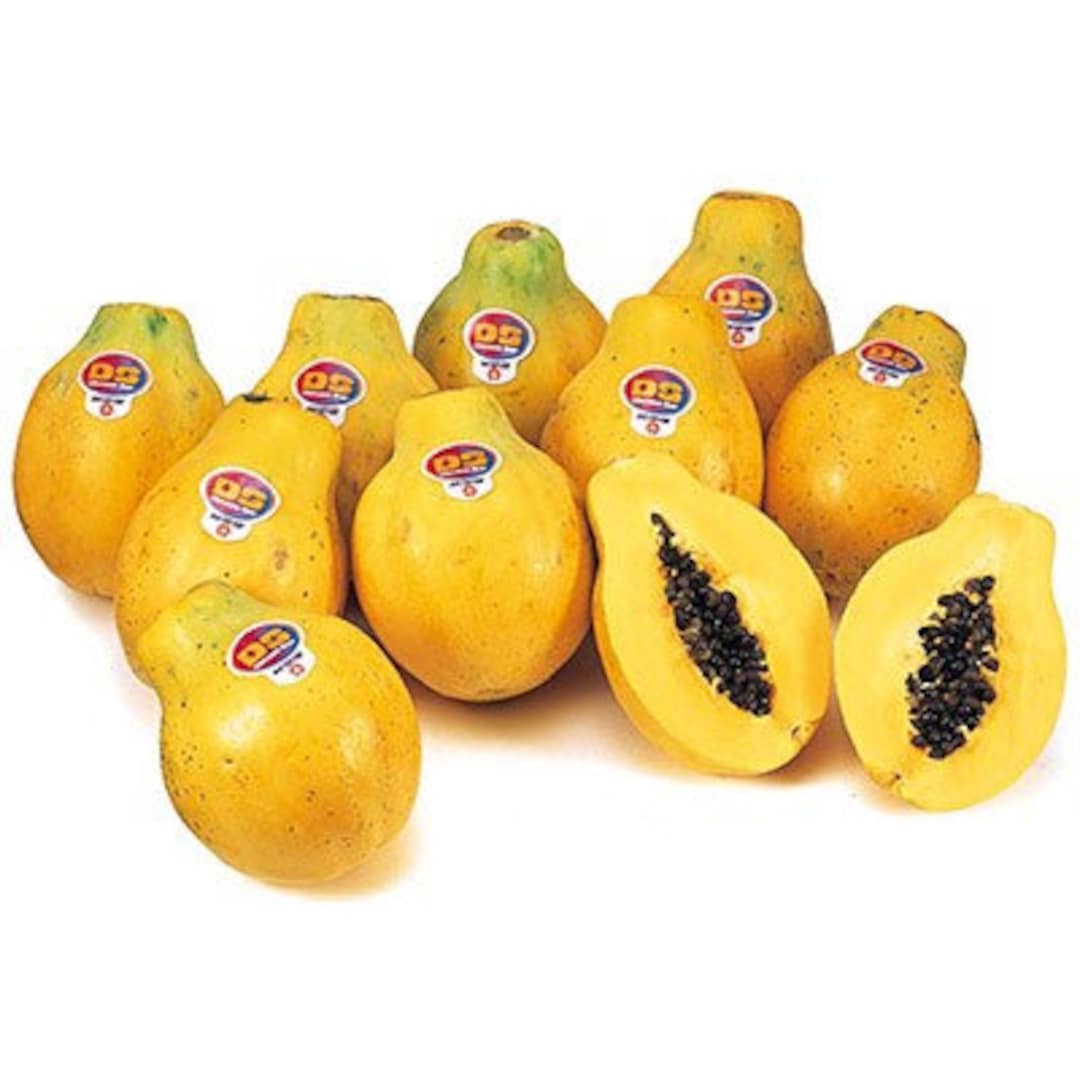 Golden Dwarf Papaya 100 Seeds From Brasil. - Etsy