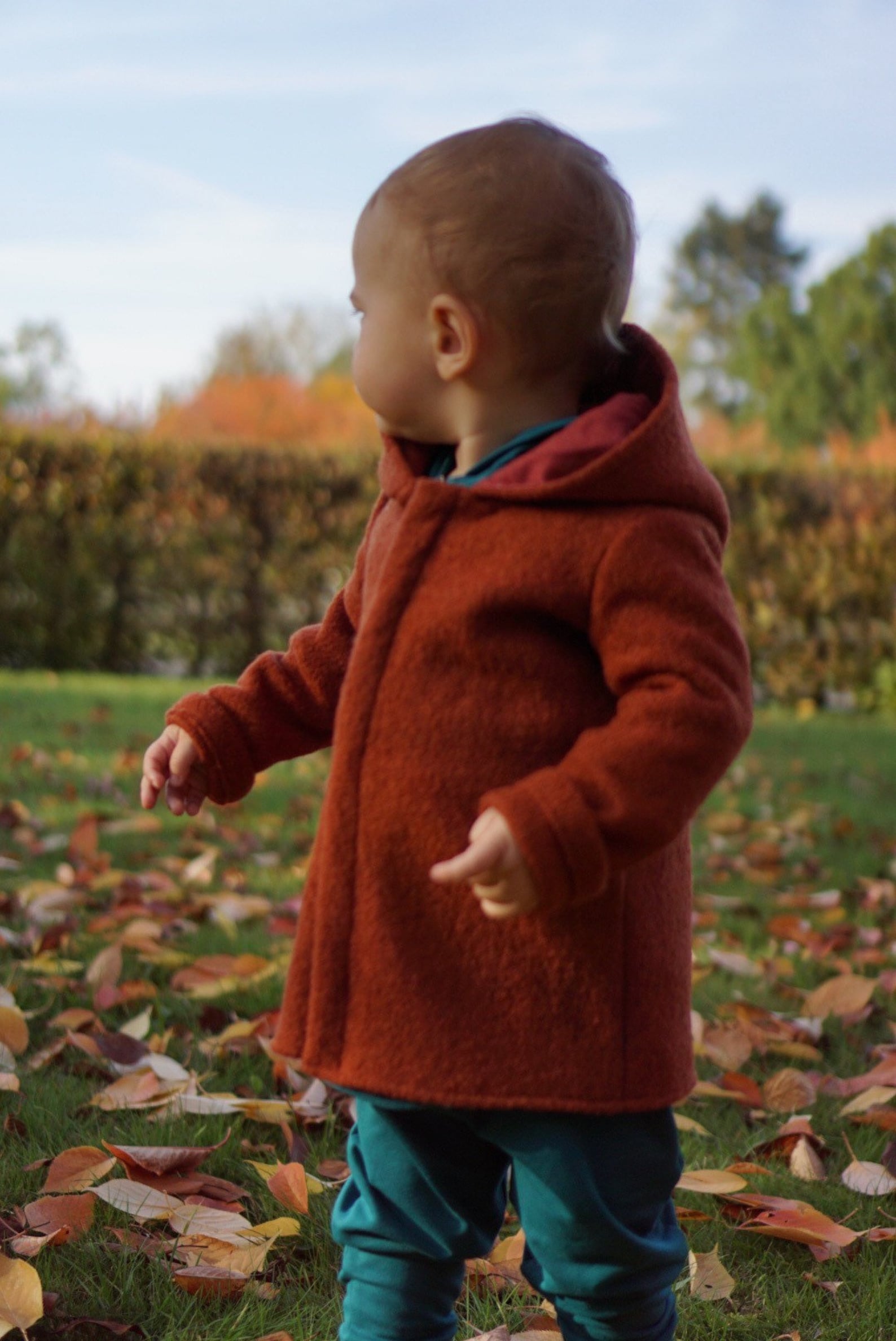 Walk Jacket for Children and Toddlers, Jacket Made of Pure Boiled Wool ...