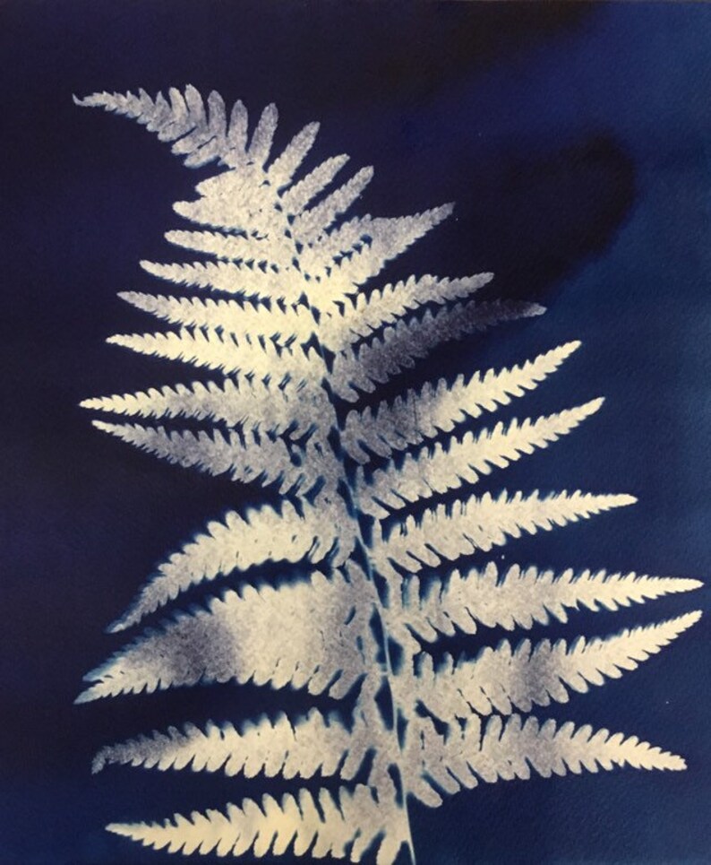 Perfect Fern Cyanotypes - Etsy