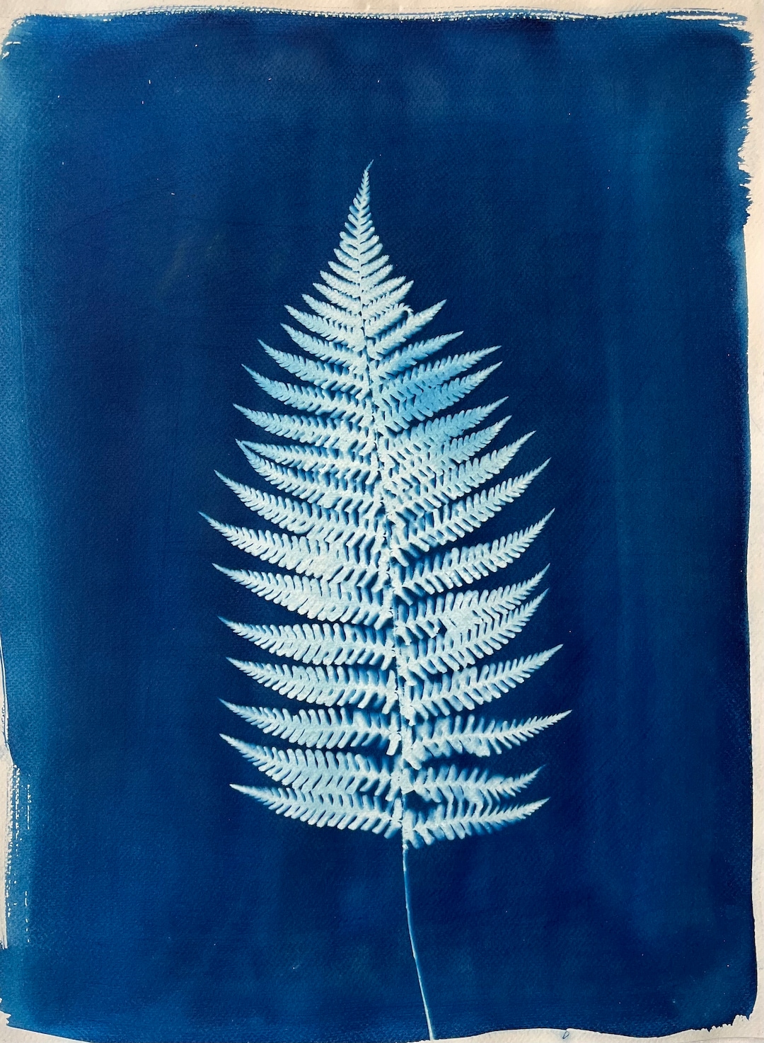 Single Fern Cyanotype - Etsy