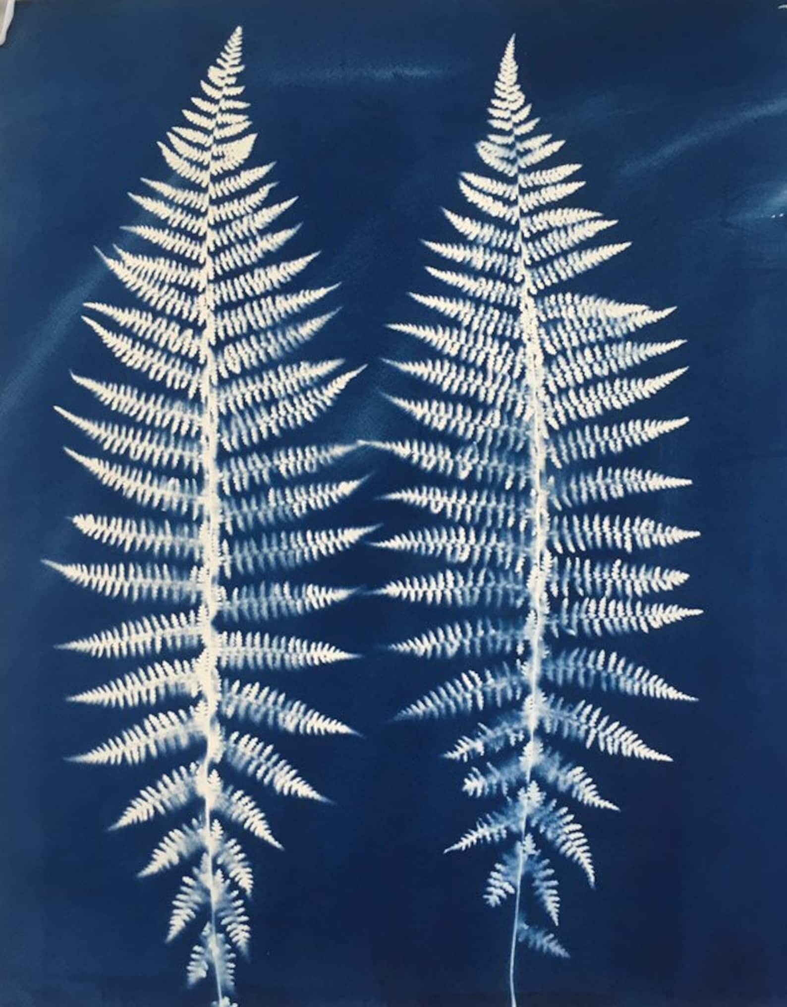 Double Fern Cyanotype - Etsy
