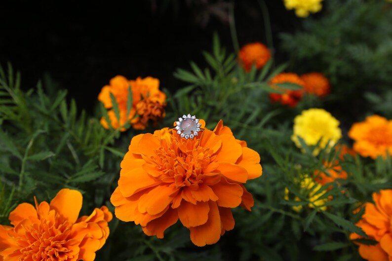 Sunflower Burma Jade Silver Ring.jadeite Ring.natural Grade A Jade ...