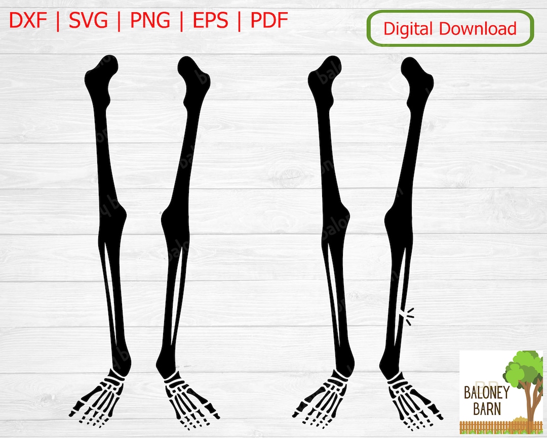 Huesos rotos SVG, silueta de esqueleto, hueso roto, hueso de fractura ...