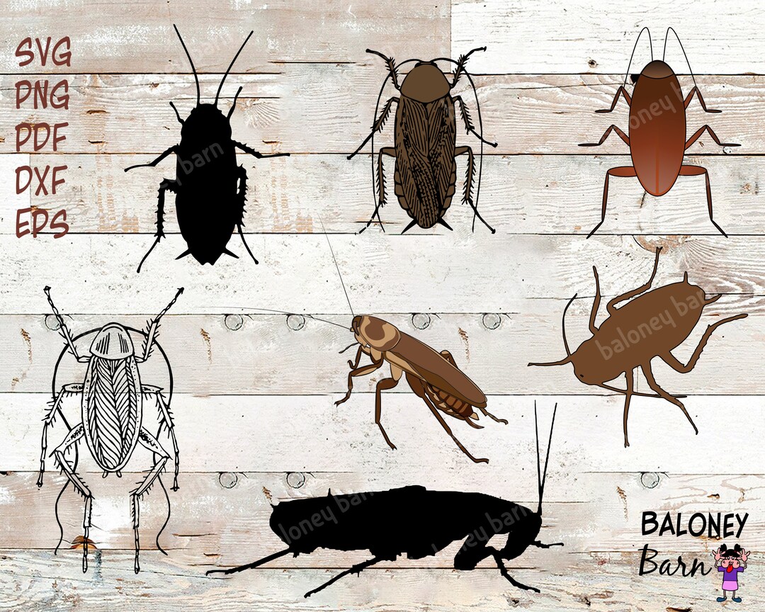 Cockroach Clipart Roach SVG Cockroach Silhouette Crawling - Etsy
