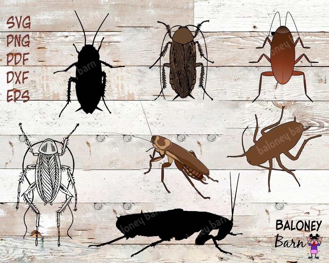 Cockroach Clipart Roach SVG Cockroach Silhouette Crawling - Etsy