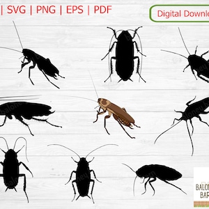 Cockroach Clipart, Roach SVG, Cockroach Silhouette, Crawling Insect ...
