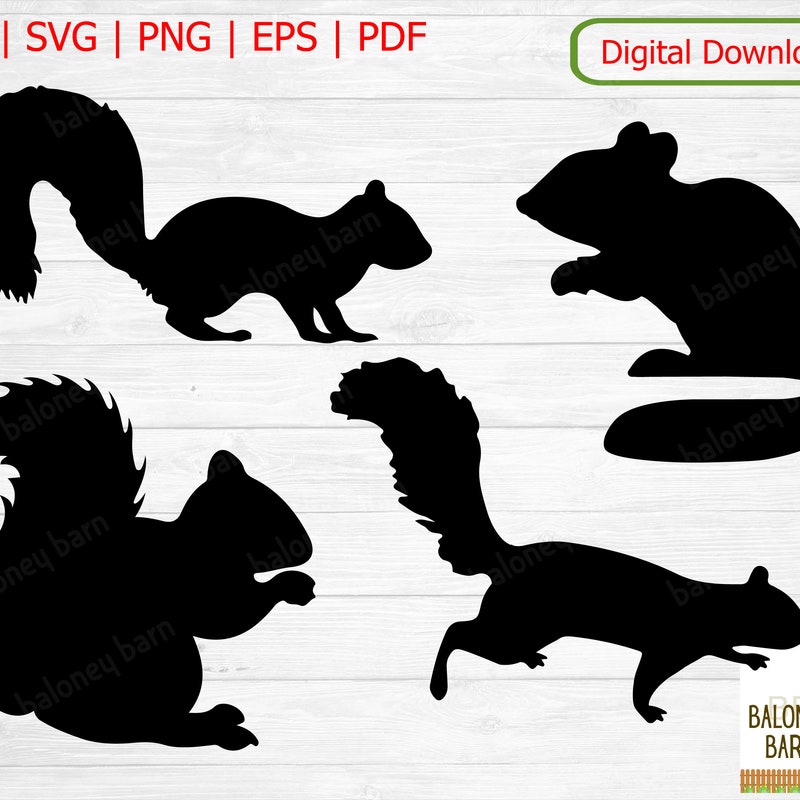 Squirrel Svg - Etsy