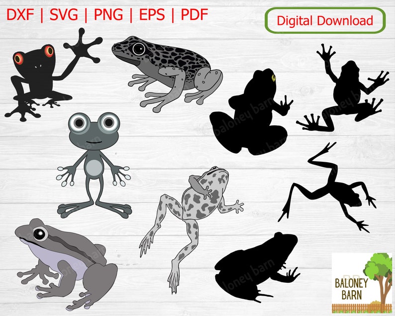 Frog Clipart Amphibian SVG Tree Frog Frogs Clip Art Dart - Etsy Canada