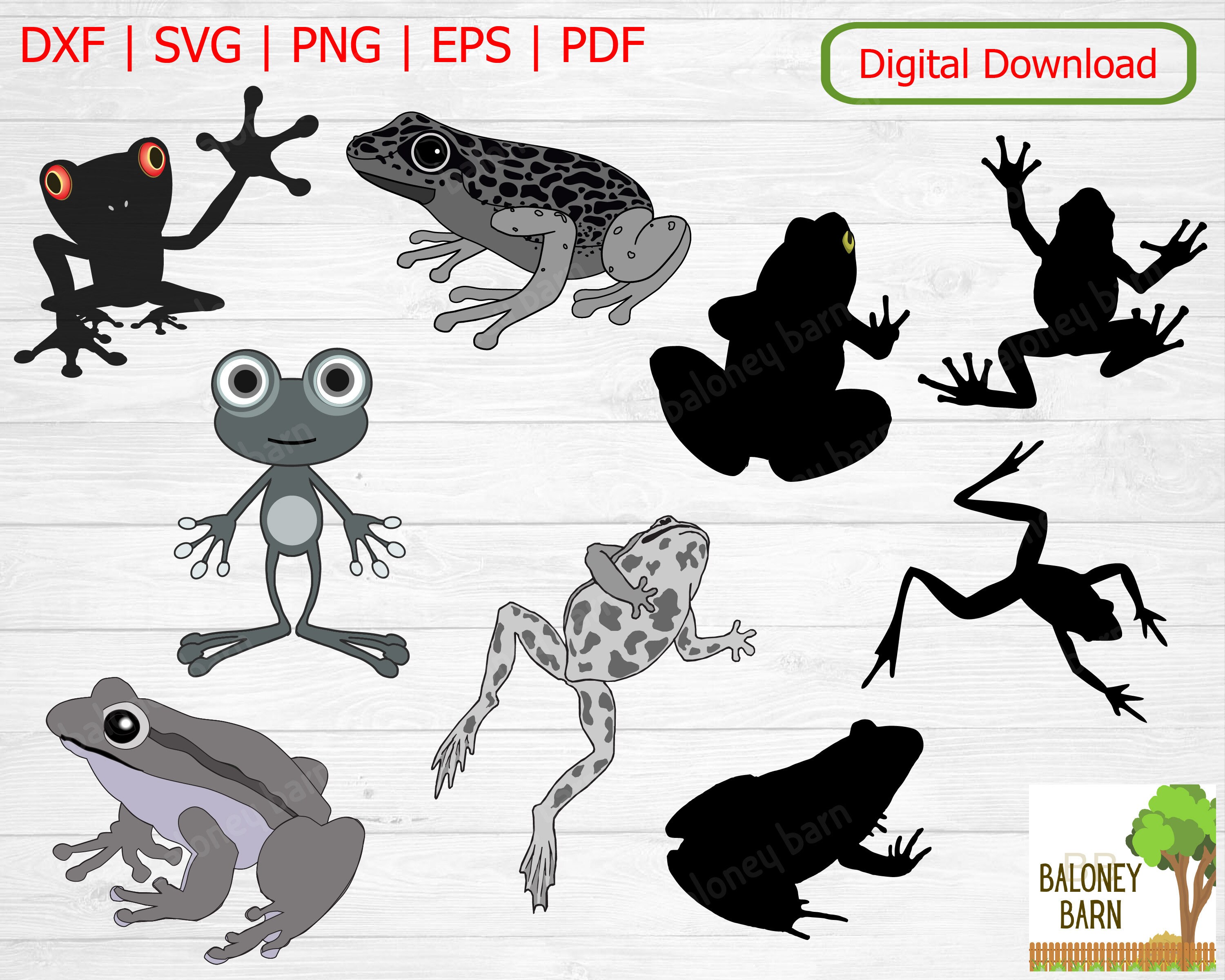 Frog Clipart Amphibian SVG Tree Frog Frogs Clip Art Dart - Etsy Canada
