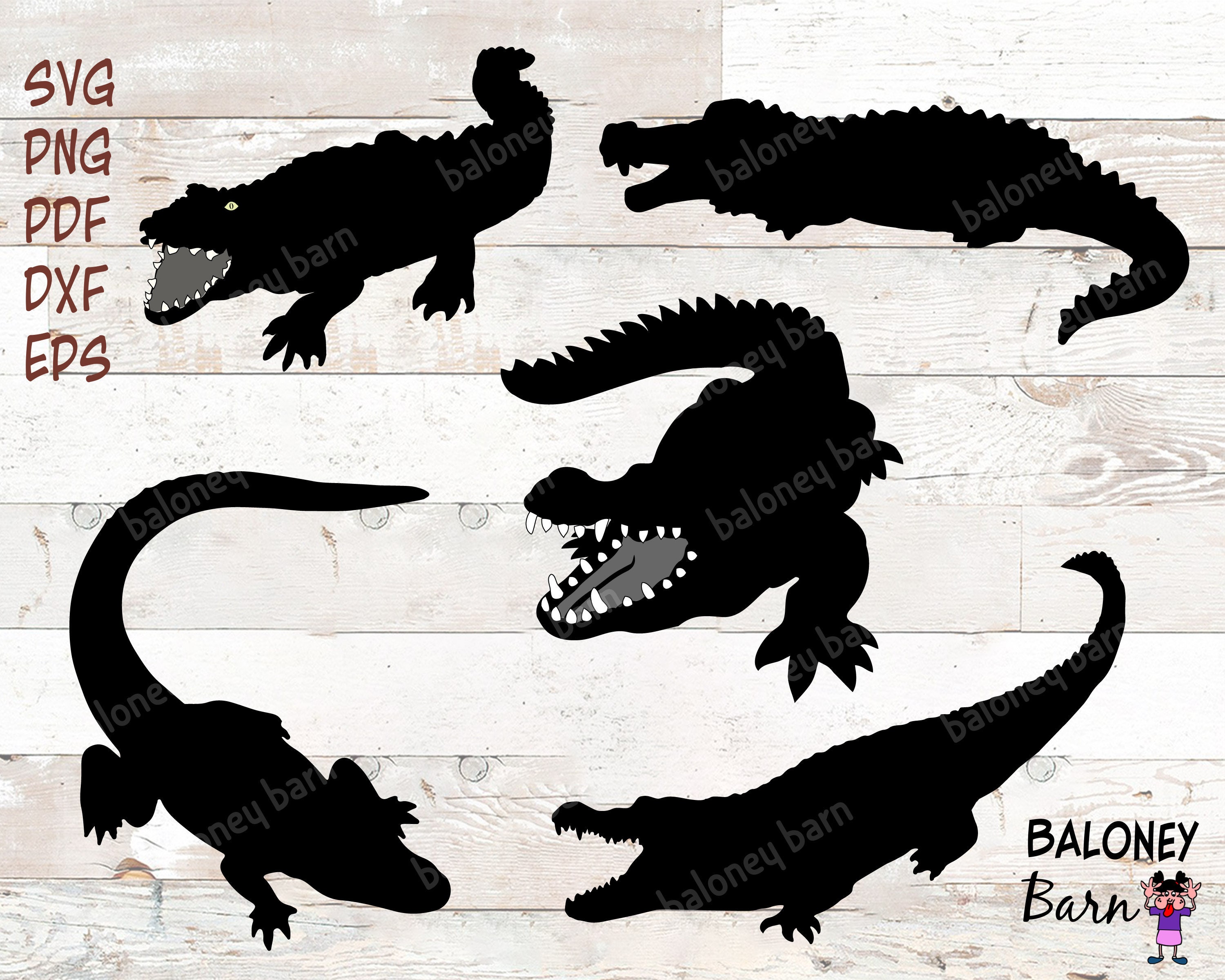 Swamp Alligator Clipart