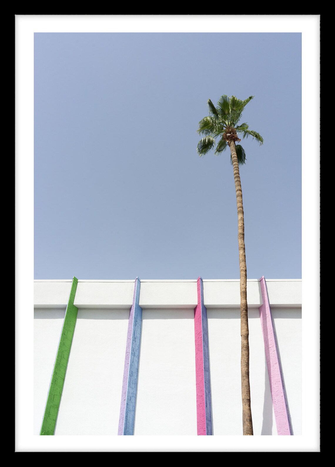 Palm Springs Color Palm Tree Photograph Retro California | Etsy