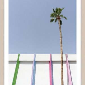 Palm Springs Color Palm Tree Photograph, Retro California Photography ...