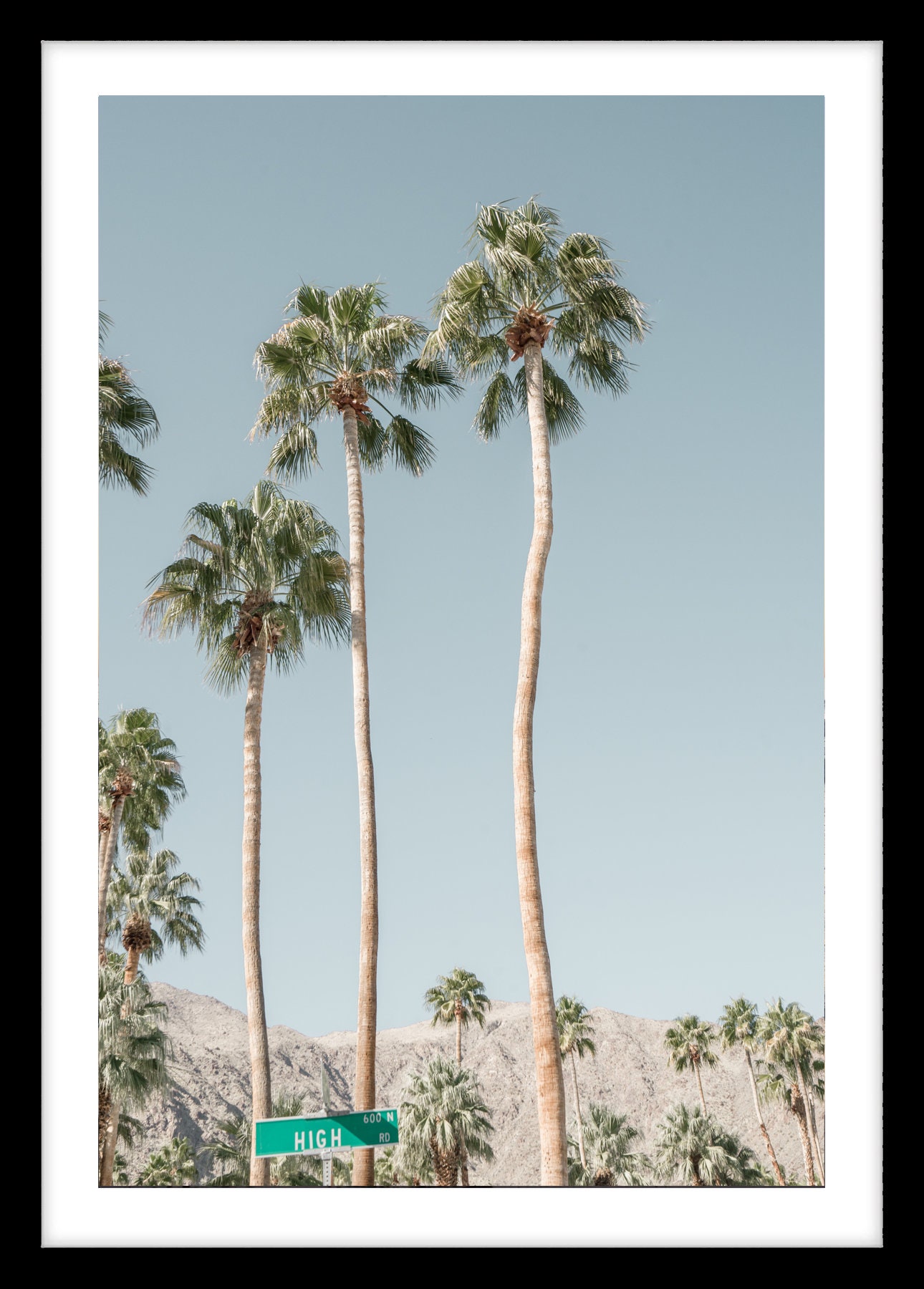 Palm Springs Fine Art Photography, Palm Trees Landscape Wall Art ...