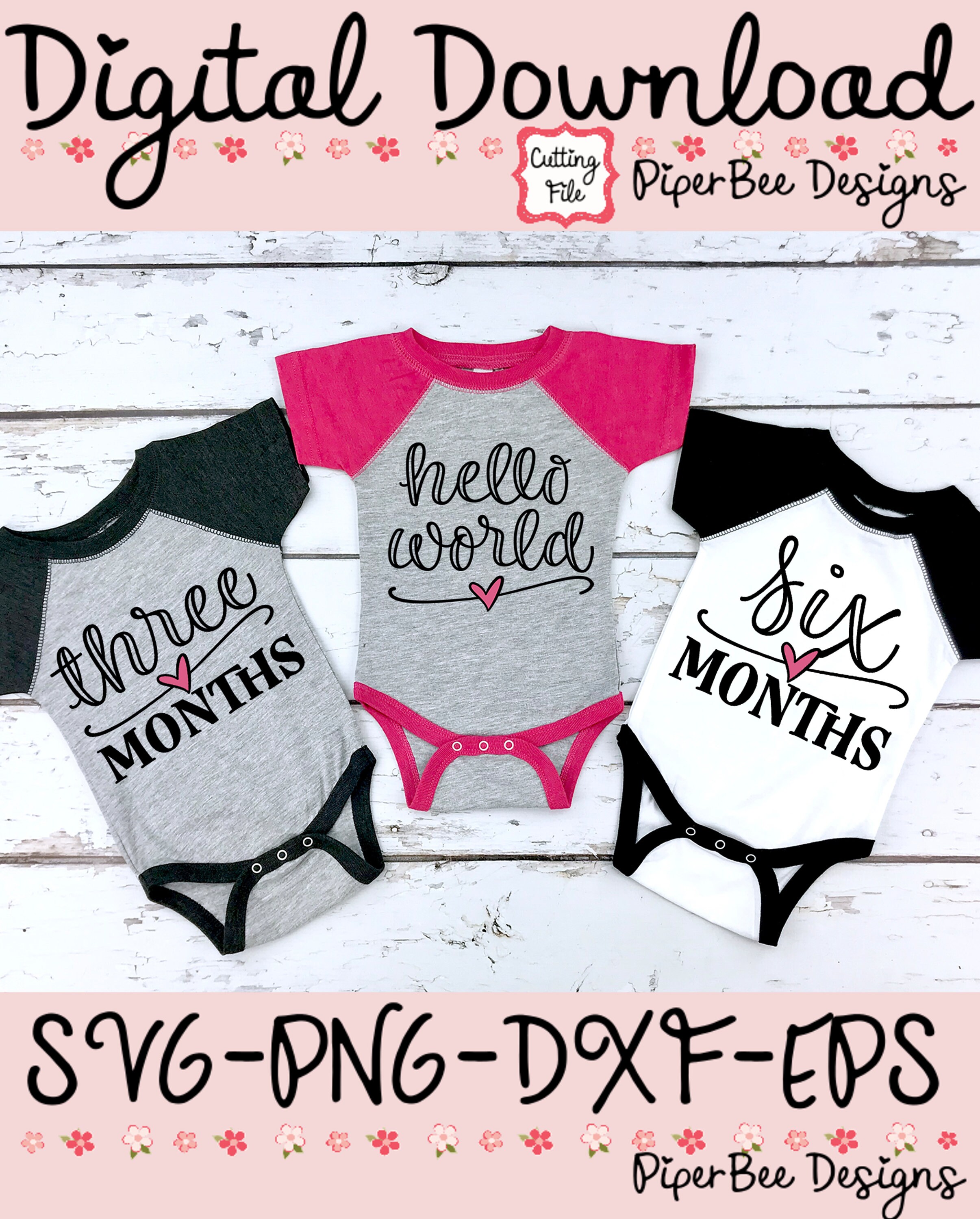 Baby Girls First Year Monthly Milestones SVG First Year SVG - Etsy