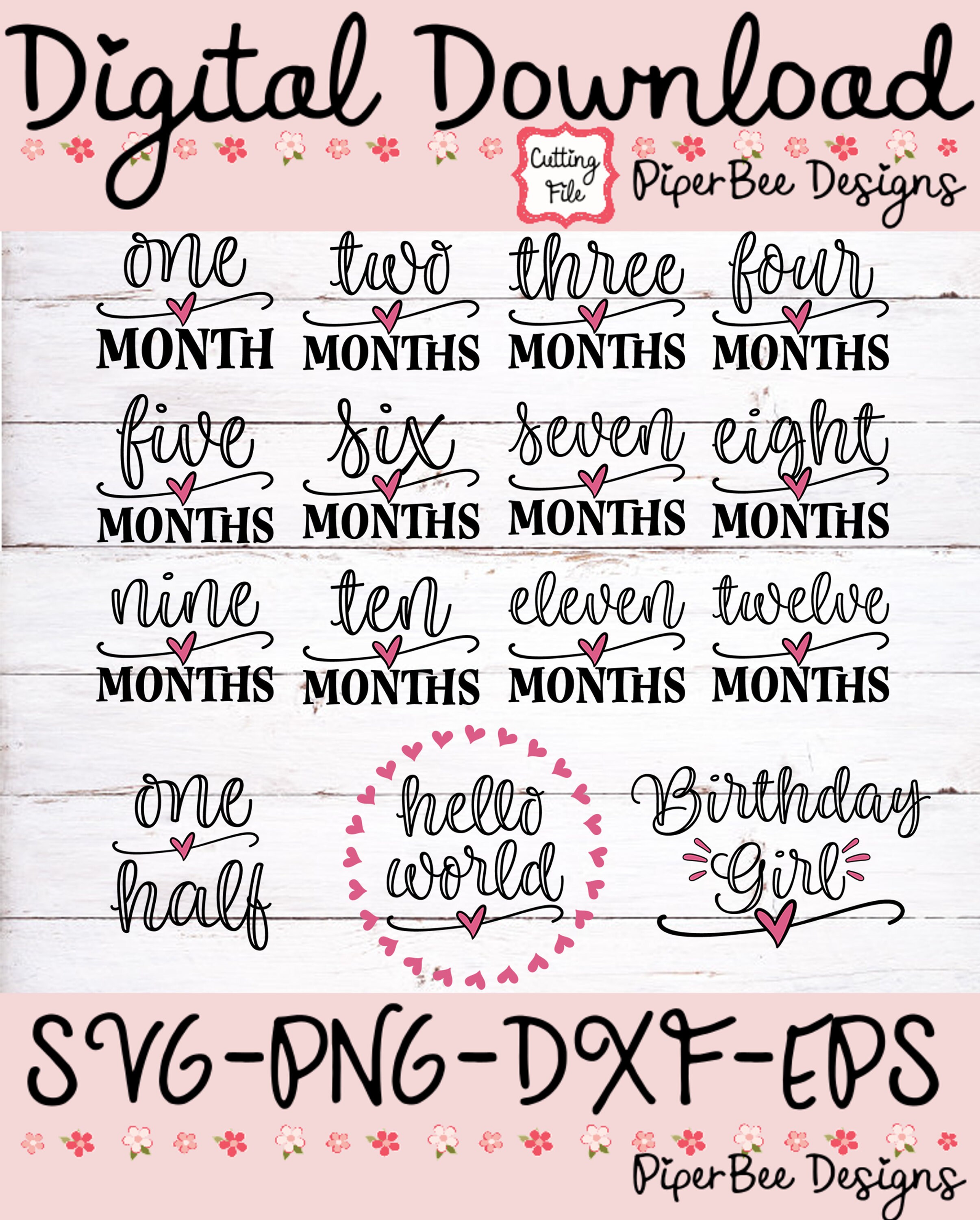 Baby Girls First Year Monthly Milestones SVG First Year SVG - Etsy
